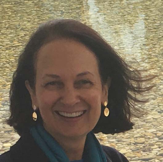Artist's CV - MEERA THOMPSON